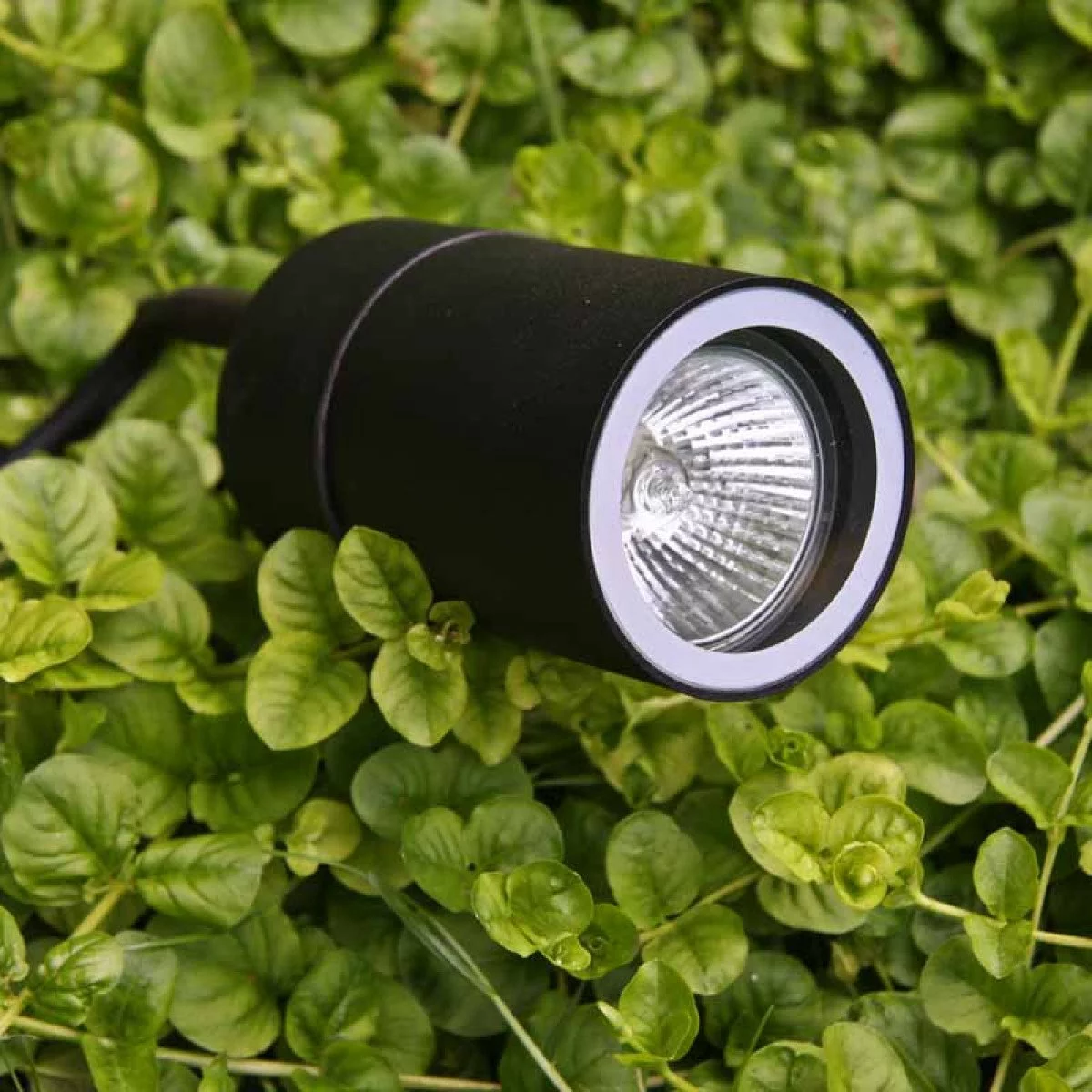 Exterior Led Pin Lights Landscape Lighting Ideas – City Lights SF